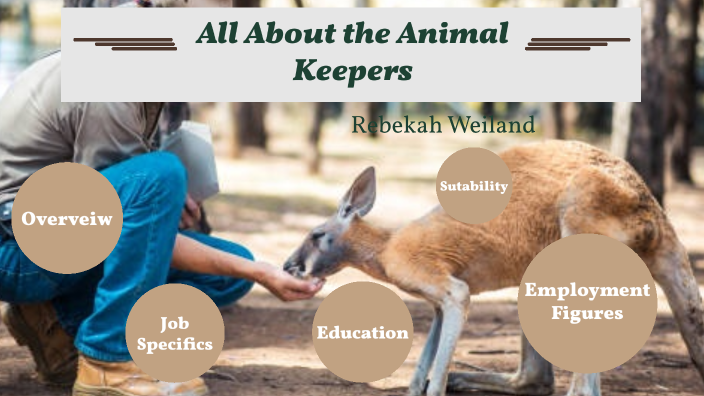Animal keeper career presentation by Rebekah Weiland on Prezi