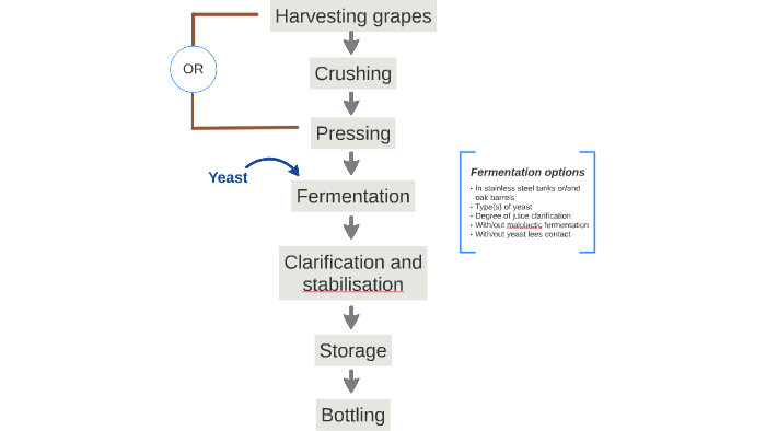 White wine flowchart by Roland Harrison on Prezi