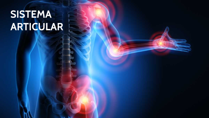 Sistema articularr by Bea San on Prezi