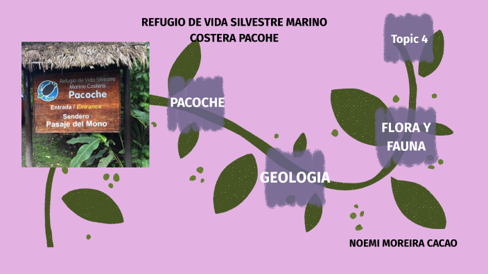refugio de vida silvestre pacoche by noemi moreira on Prezi