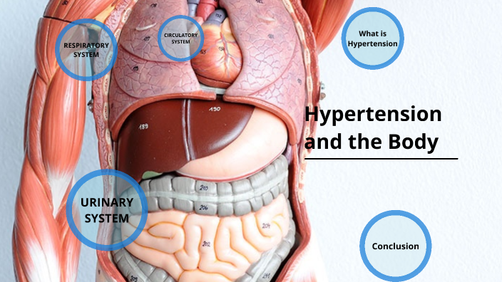 Hypertension and the Human Body by yash sharma on Prezi