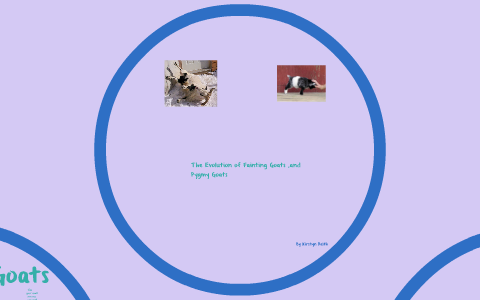 The Evolution of Pygmy Goats by Kirstyn Reith on Prezi