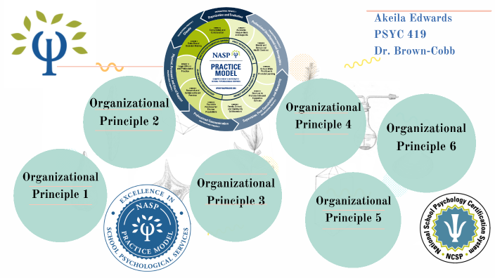 Domains and Organizational Principles by Akeila Edwards on Prezi