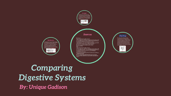 Comparing Digestive Systems by Unique G on Prezi