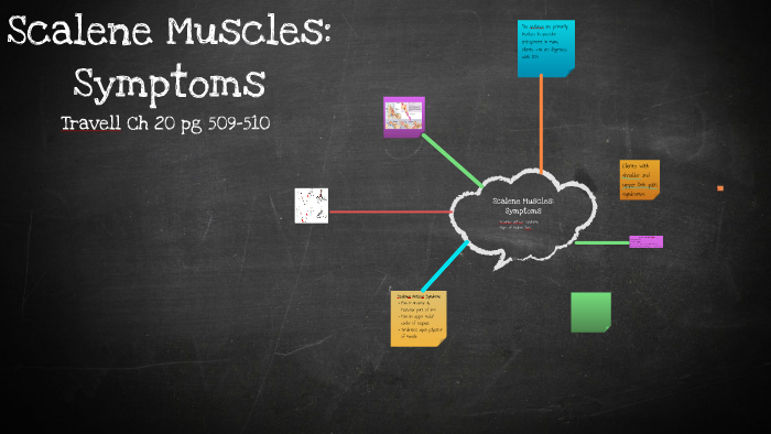 Scalene Muscles: Signs and Symptoms by Meghan Blomdal on Prezi