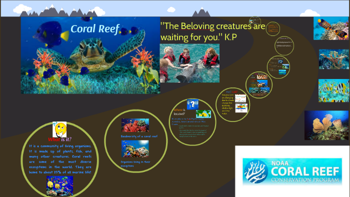 Coral Reefs Biome Project by Kevin Park on Prezi