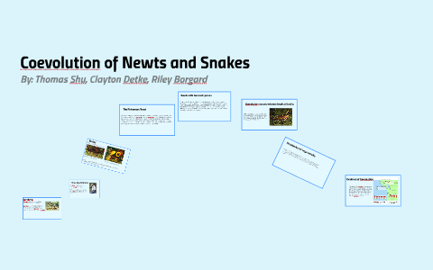 Co evolution of Newts and Snakes by Thomas Shu on Prezi