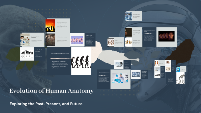 Evolution of Human Anatomy by Shandice Henkis on Prezi