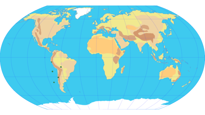 Biomas de América del Sur by soff gradmont on Prezi