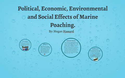 Marine Poaching by Megan Hassard on Prezi