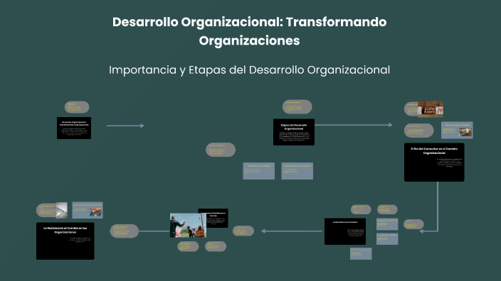 Desarrollo Organizacional: Transformando Organizaciones by María Martha ...