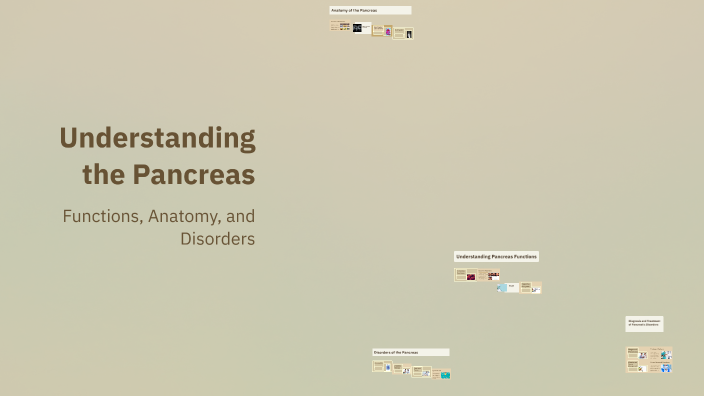Understanding the Pancreas by Marya Arslan on Prezi