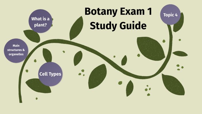 Botany Exam 1 study guide by Anna Dirrim on Prezi