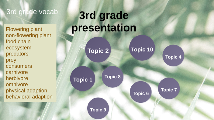 3rd grade presentation by Mitchaina Corvil on Prezi
