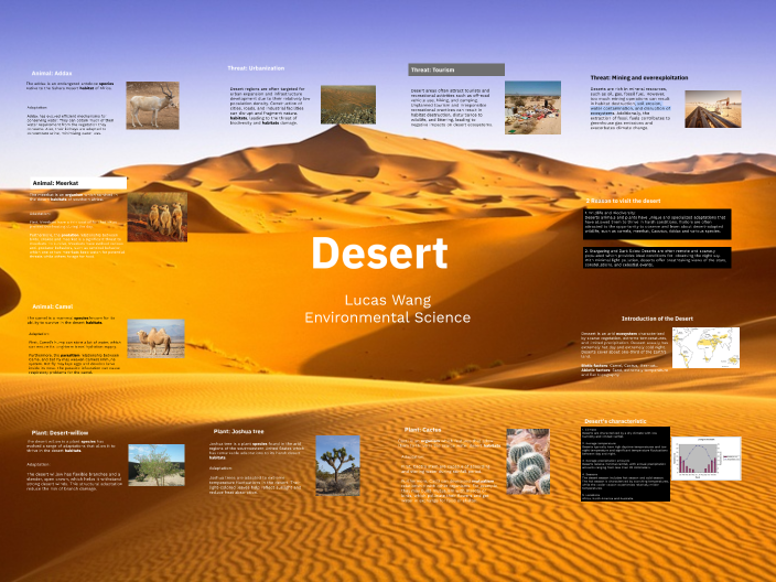 Desert presentation by wang Lucas on Prezi
