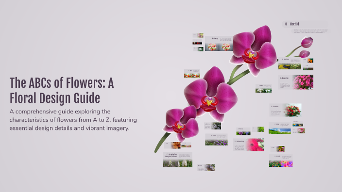 The ABCs of Flowers: A Floral Design Guide by Diego Carvajal on Prezi