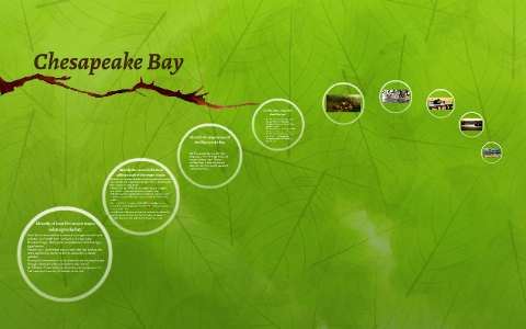 Identify at least five major issues relating to the bay. by Zoe Greco ...