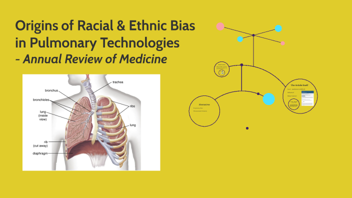 Origins of Racial and Ethnic Bias by Isabelle Fehr on Prezi