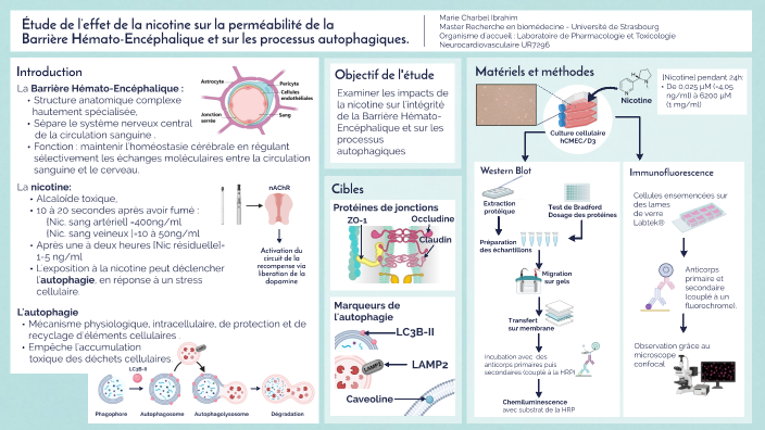 poster-bbb by Marie Charbel on Prezi
