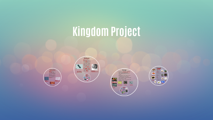Kingdom Project by Lance Clemente on Prezi