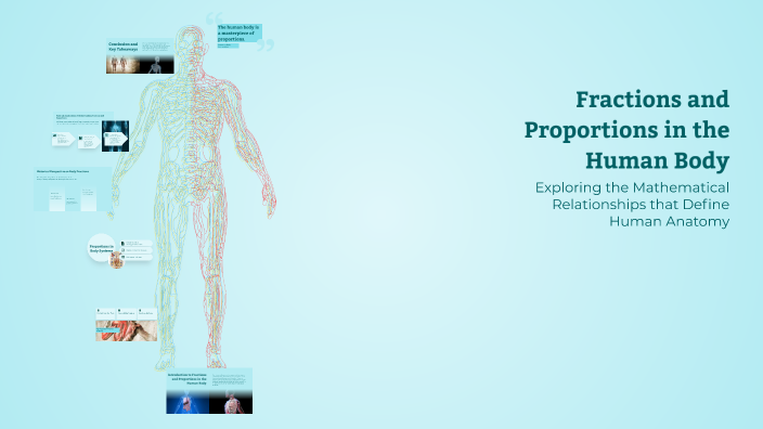 Fractions and Proportions in the Human Body by Балад Бчбабп on Prezi