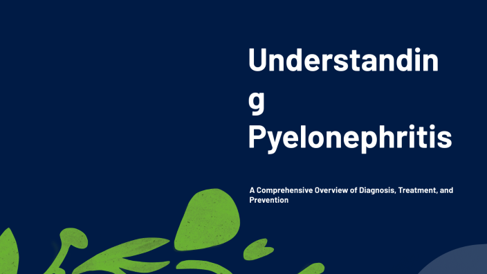 Understanding Pyelonephritis by Ashkan Karimi on Prezi