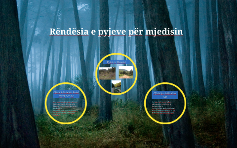 Rëndësia e pyjeve për mjedisin by Tringa Desku on Prezi