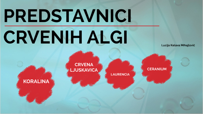 predstavnici crvenih algi by lucija lucija on Prezi