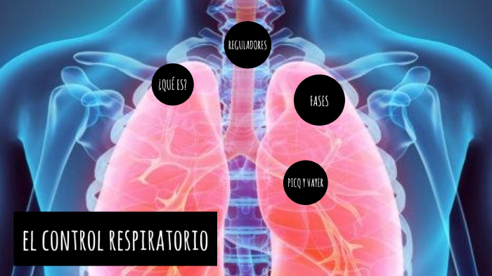 EL CONTROL RESPIRATORIO by Giovanela Barontini on Prezi