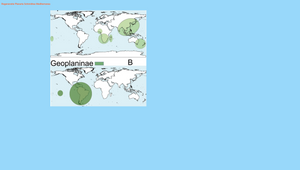 PWS Poster by Fabio van Doorn on Prezi Design