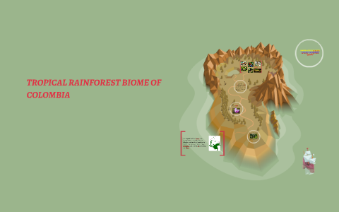 TROPICAL RAINFOREST BIOME OF COLOMBIA by Daniel Estrada on Prezi