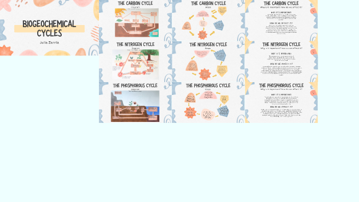 Biogeochemical Cycle Project by Julia Zarria on Prezi