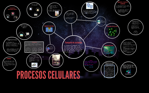 PROCESOS CELULARES by arisbe martinez on Prezi
