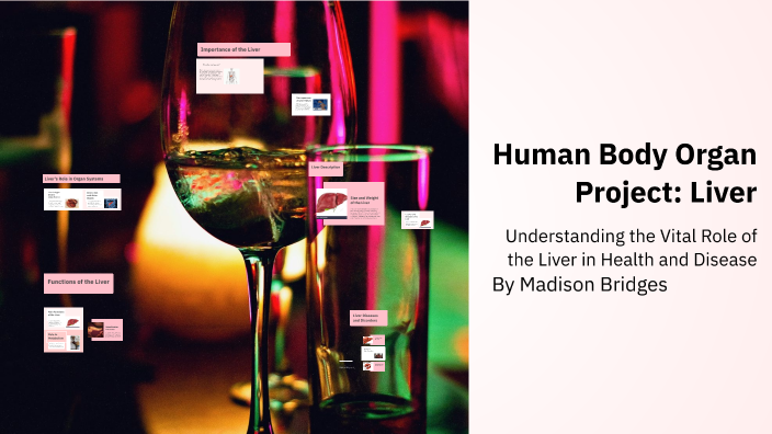 Human Body Organ Project: Liver by Madison Bridges on Prezi
