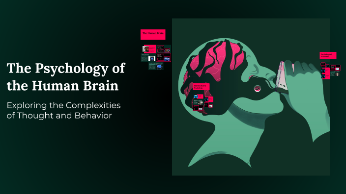 The Psychology of the Human Brain by Zayne Smith on Prezi