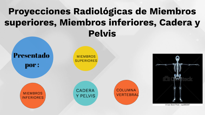 Proyecciones radiologicas by ivonne castano on Prezi