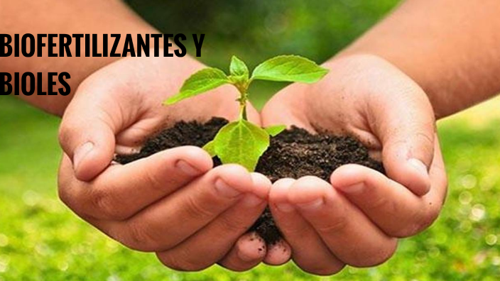 BIOFERTILIZANTES Y BIOLES by Dario Gimenez on Prezi