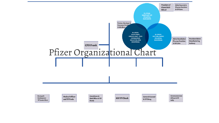 Pfizer Organizational Chart by Jessica Carello on Prezi