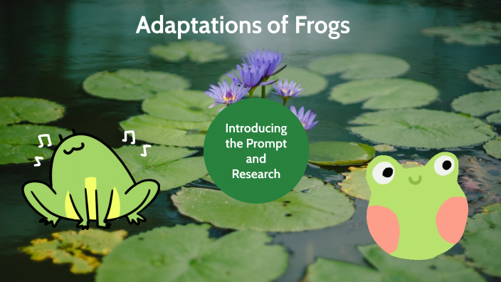 Adaptations of Frogs- Introducing the Prompt and Research by madison ...