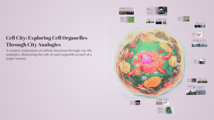 Cell City: Exploring Cell Organelles Through City Analogies by Medha ...