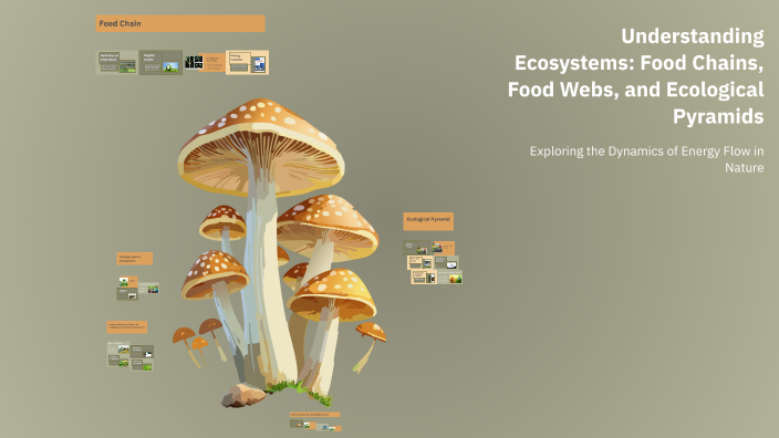 Understanding Ecosystems: Food Chains, Food Webs, and Ecological ...