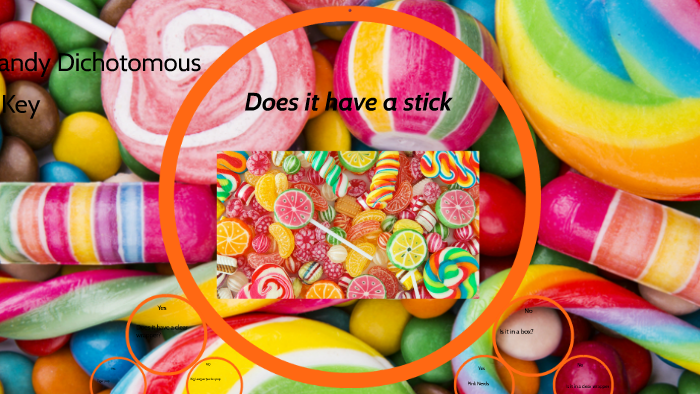 Candy Dichotomous Key by colin cowell on Prezi