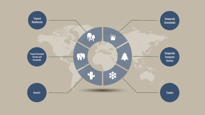 Ecology - Conceptual Diagram by Michelle Wainner on Prezi