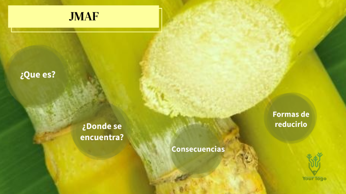 JMAF by Morena Jazmin Alaniz on Prezi