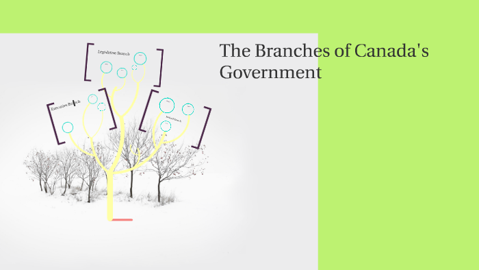The Branches of Canada's Government by Fiza Rajput