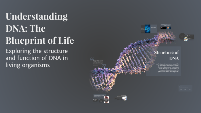 Understanding DNA: The Blueprint of Life by pankaj kumar on Prezi