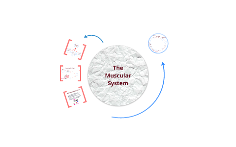 Extra Credit Anatomy by Tricia Leary on Prezi