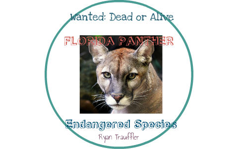 Endangered/Invasive Species Project by Ryan Trauffler on Prezi