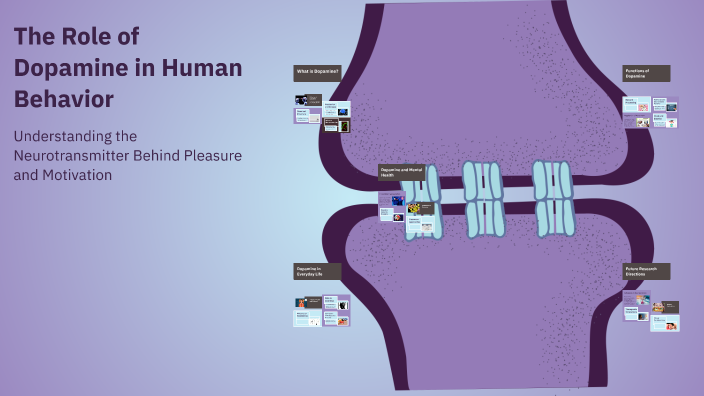 The Role of Dopamine in Human Behavior by Ali Murtaza on Prezi