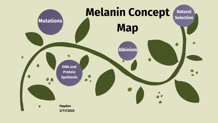 Melanin Concept Map by Hayden Baughn on Prezi